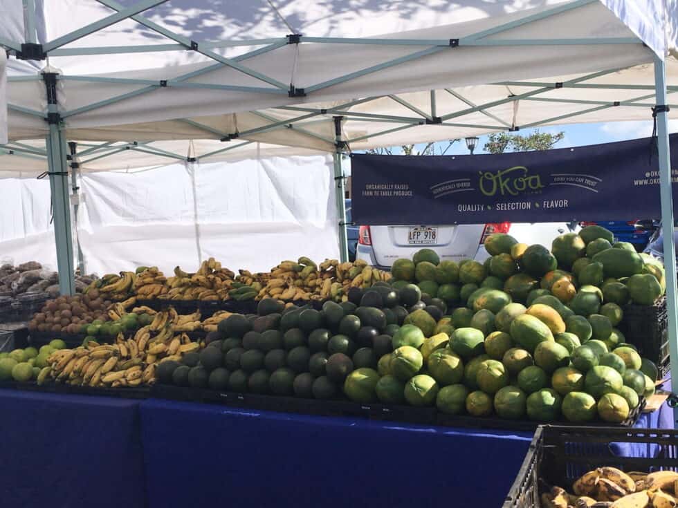 Senior Farmers Market Nutrition Program - SFMNP - Maui Economic ...