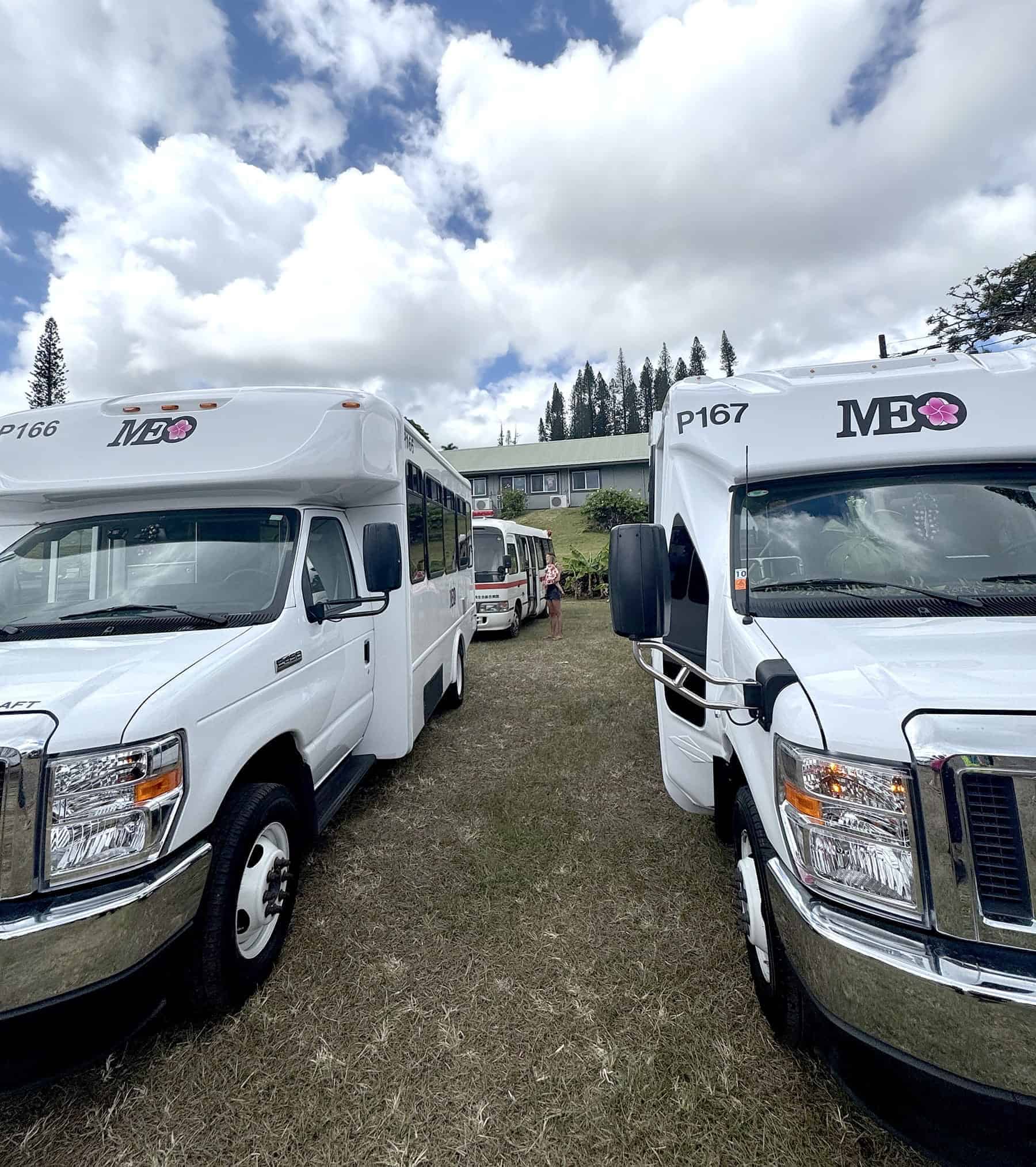 MEO Hana to offer transportation services for East Maui Taro Festival ...